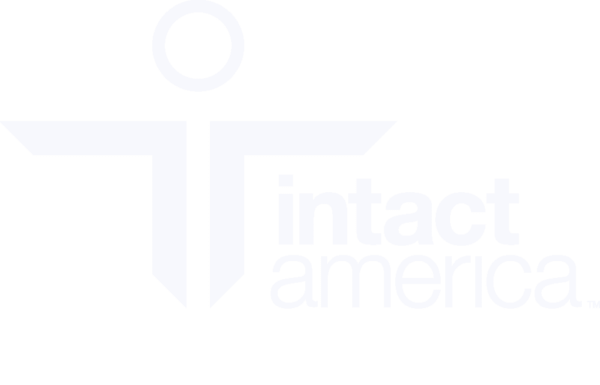 6 Things You Need to Know About The Intact Penis - Anti-circumcision ...