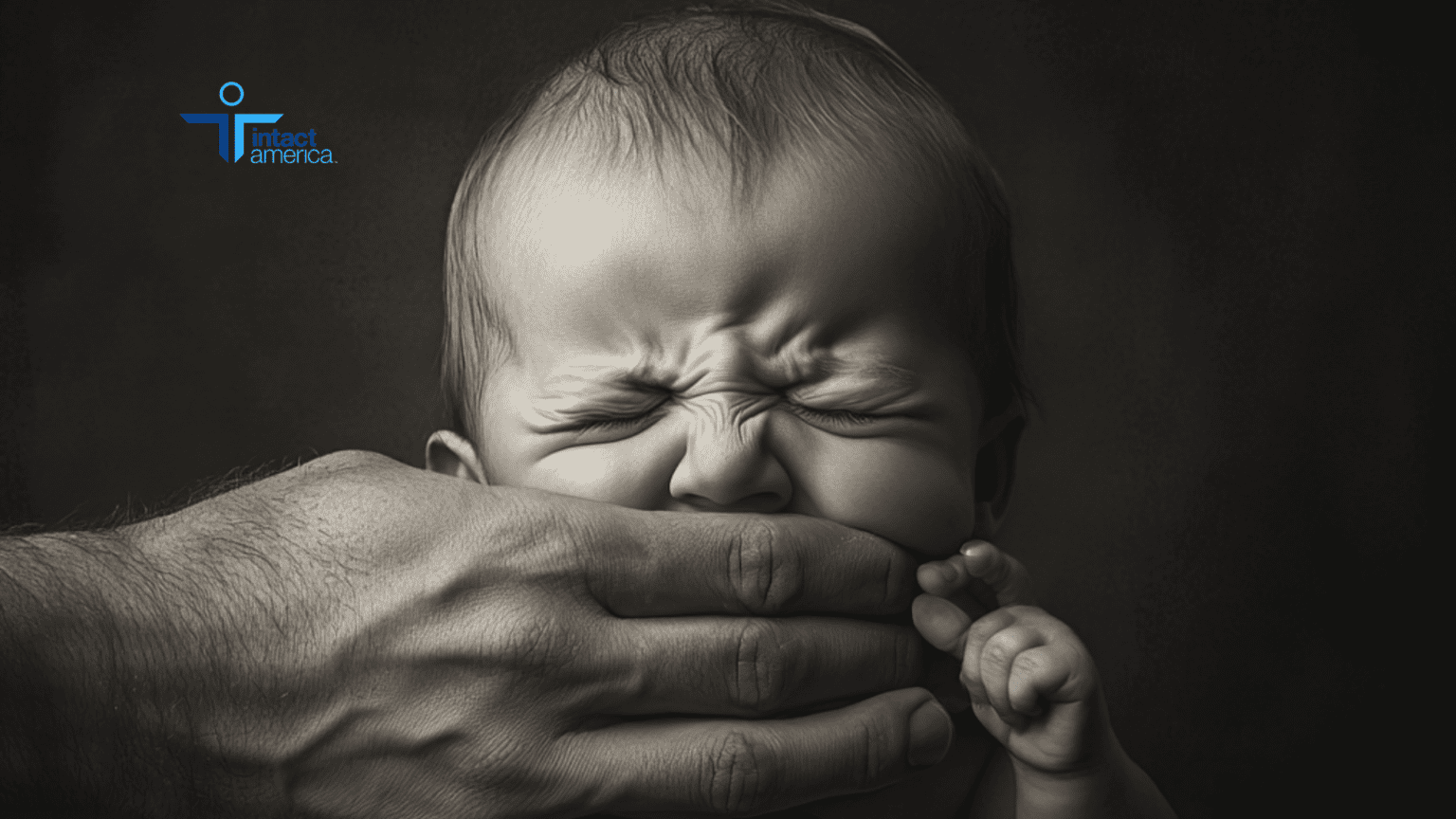 The U S Circumcision Crisis Why Your Support Matters Anti