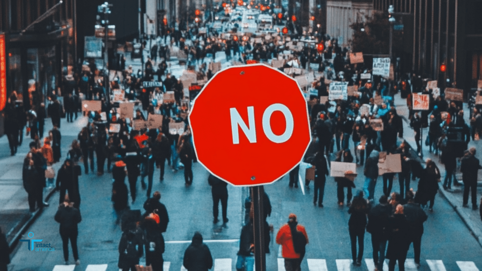 Do You Know: About the Ridged Band and Frenulum? - Anti-circumcision ...